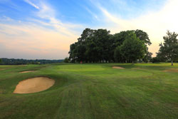 Mannings Heath Golf Club and Wine Estate - Golf Features | Golf Reviews